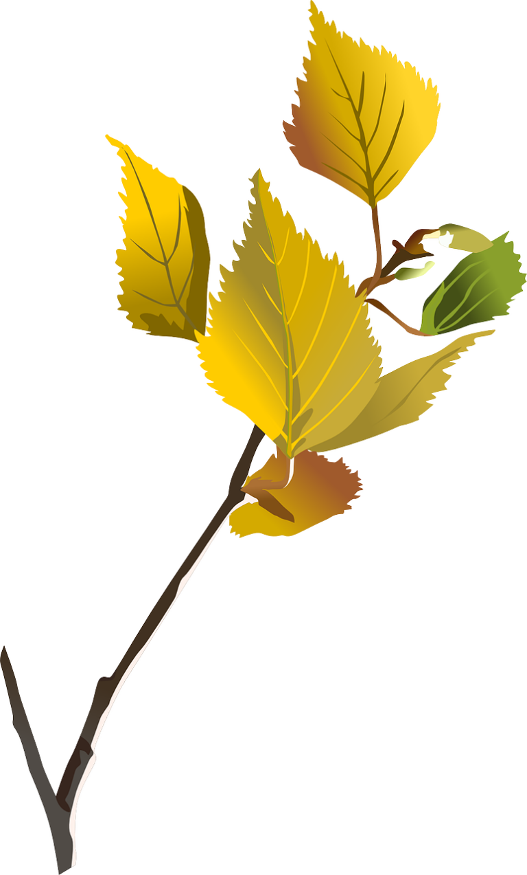 Brattleboro Retreat Announces 2025 Gala Honoring Mental Health Advocate ...